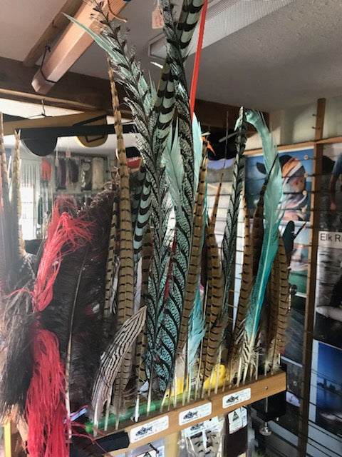 Lady Amherst Feather – Nile Creek Fly Shop