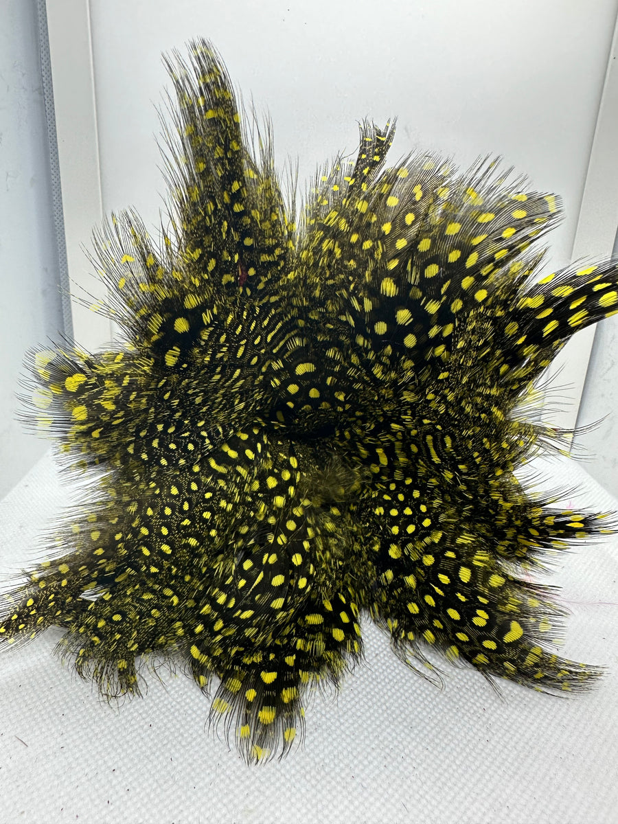 Guinea Fowl Feathers – Nile Creek Fly Shop
